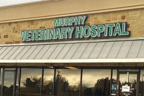 Office Tour | Murphy Veterinary Hospital
