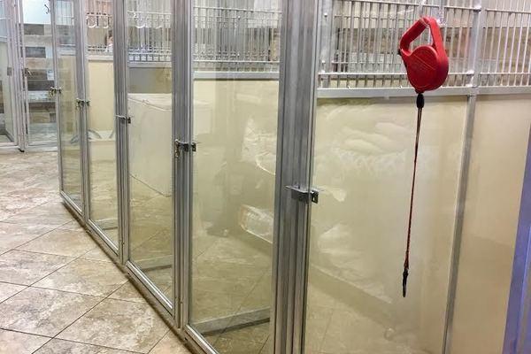 Office Tour | Murphy Veterinary Hospital