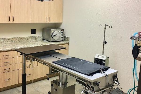 Office Tour | Murphy Veterinary Hospital